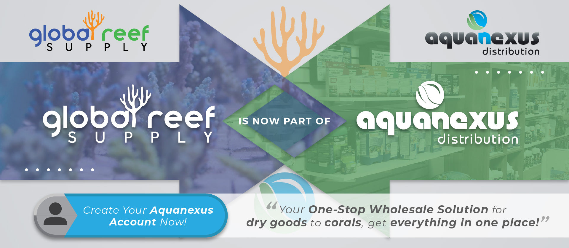 Wholesale Dry Goods and WYSIWYG Coral Distributors - Aquanexus ...